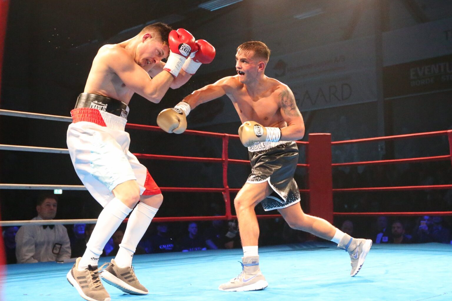 Victor Ramon på programmet 21.april - KNOCK OUT - Danmarks bedste bokseside